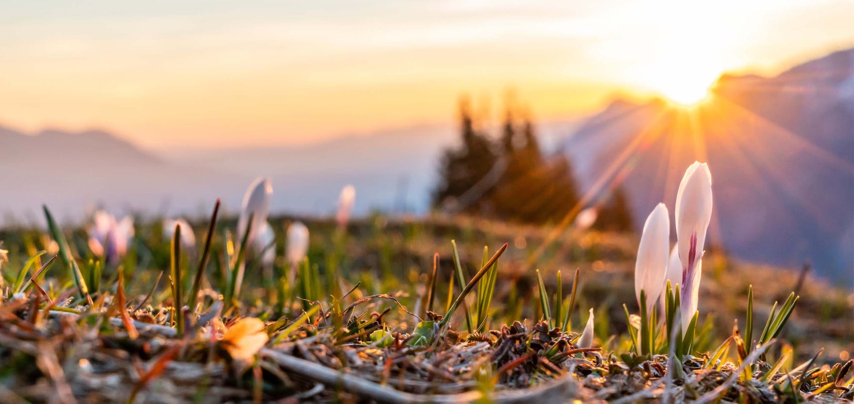 Stadler Form sorgt für optimales Raumklima